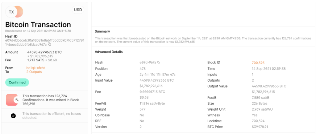 Businesses Reveal Reasons for Adopting Bitcoin Payment || Speed